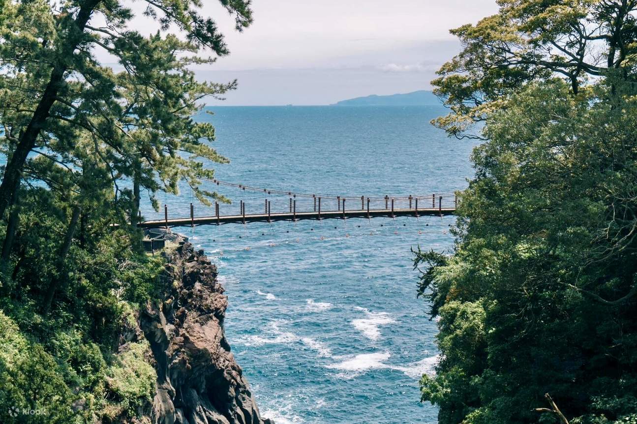 [Summer Limited] Atami Kinomiya Shrine, Izu Omuroyama, Cactus Zoo, and ...